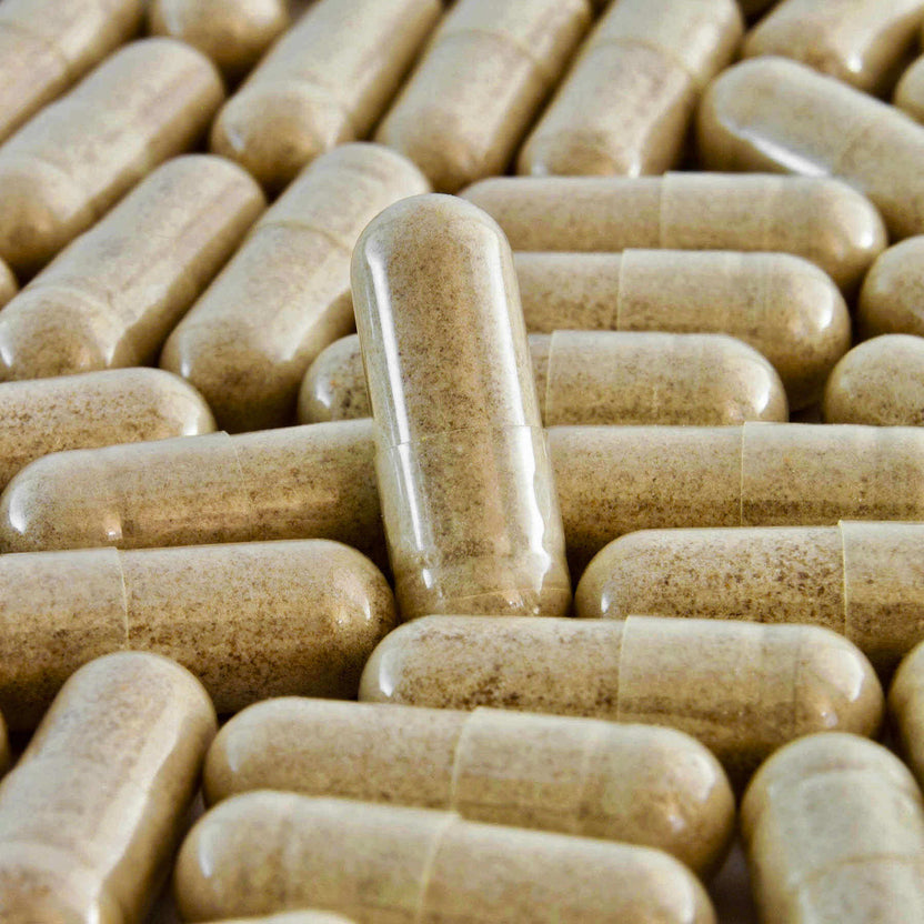 Buy ICARIIN 60™ Horny Goat Weed UK 60% icariin World A.B.S
